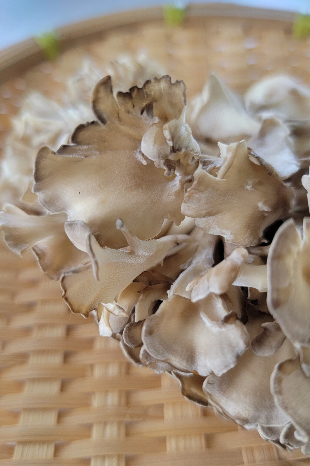 Maitake Rice (Vegan) - Plant-Based Matters
