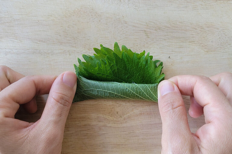 King Oyster Mushroom Nigiri Sushi with Ume Shiso (Vegan)