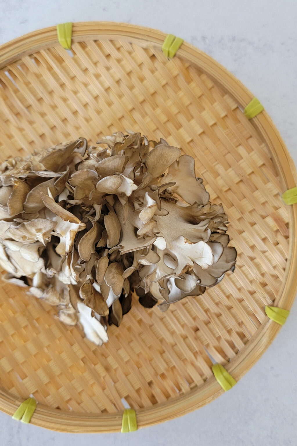 Maitake Mushrooms - Plant-Based Matters